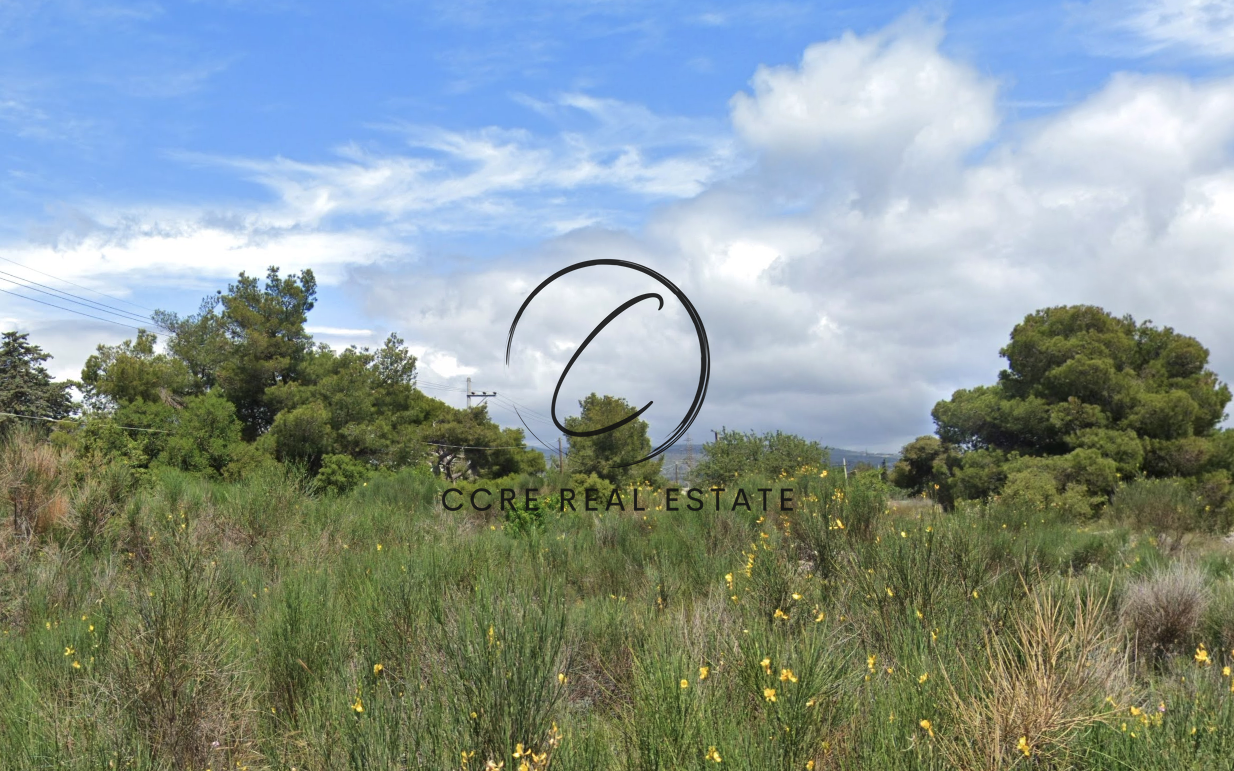 CCRE Real Estate | Code: 2053384 - Plot of Land For rent, Nea Erithrea ...