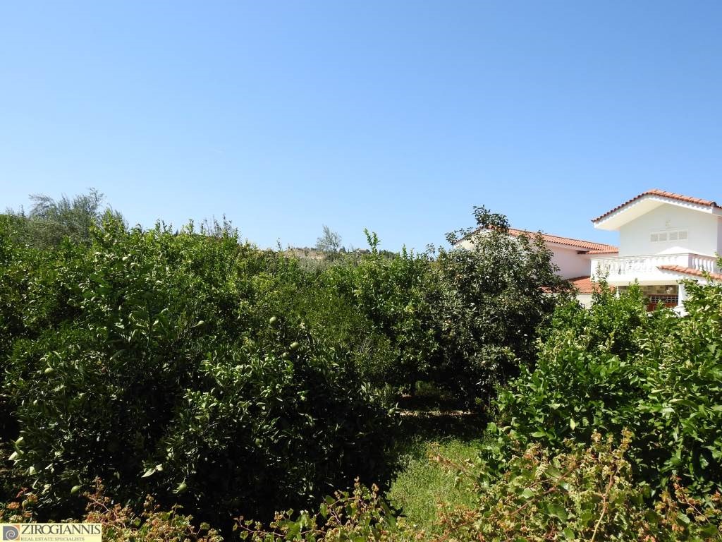 ZIROGIANNIS Real Estate & Development | Κωδικός: 464646 - Μονοκατοικία ...