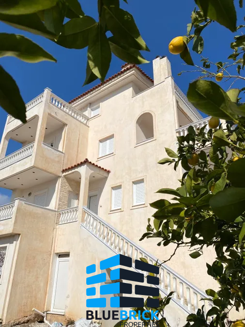 BlueBrick Properties